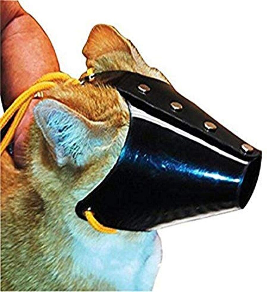 5 Best Cat Muzzles – Cateuphoria