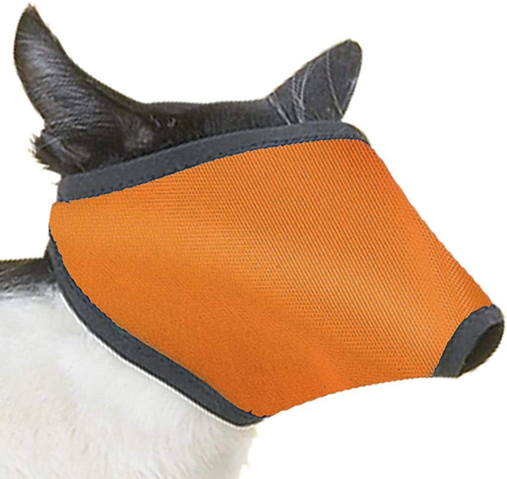 5 Best Cat Muzzles – Cateuphoria