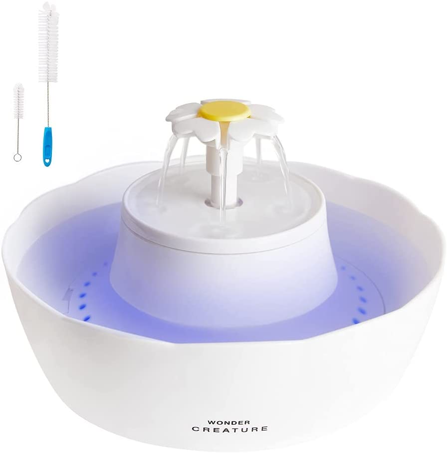 4 Best Cat Water Fountains – Cateuphoria